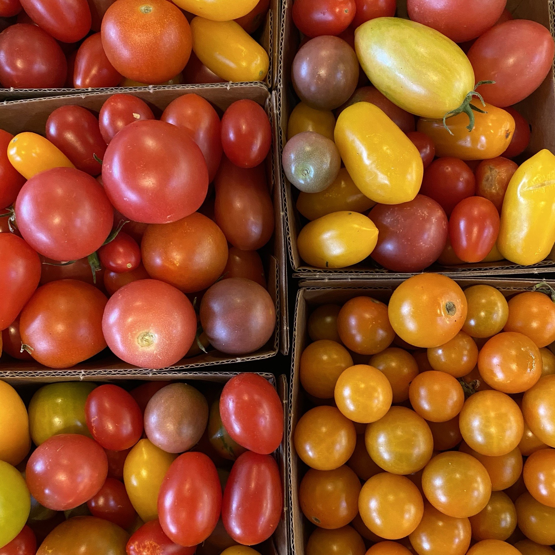 Quality Standards - Good Earth Natural Foods