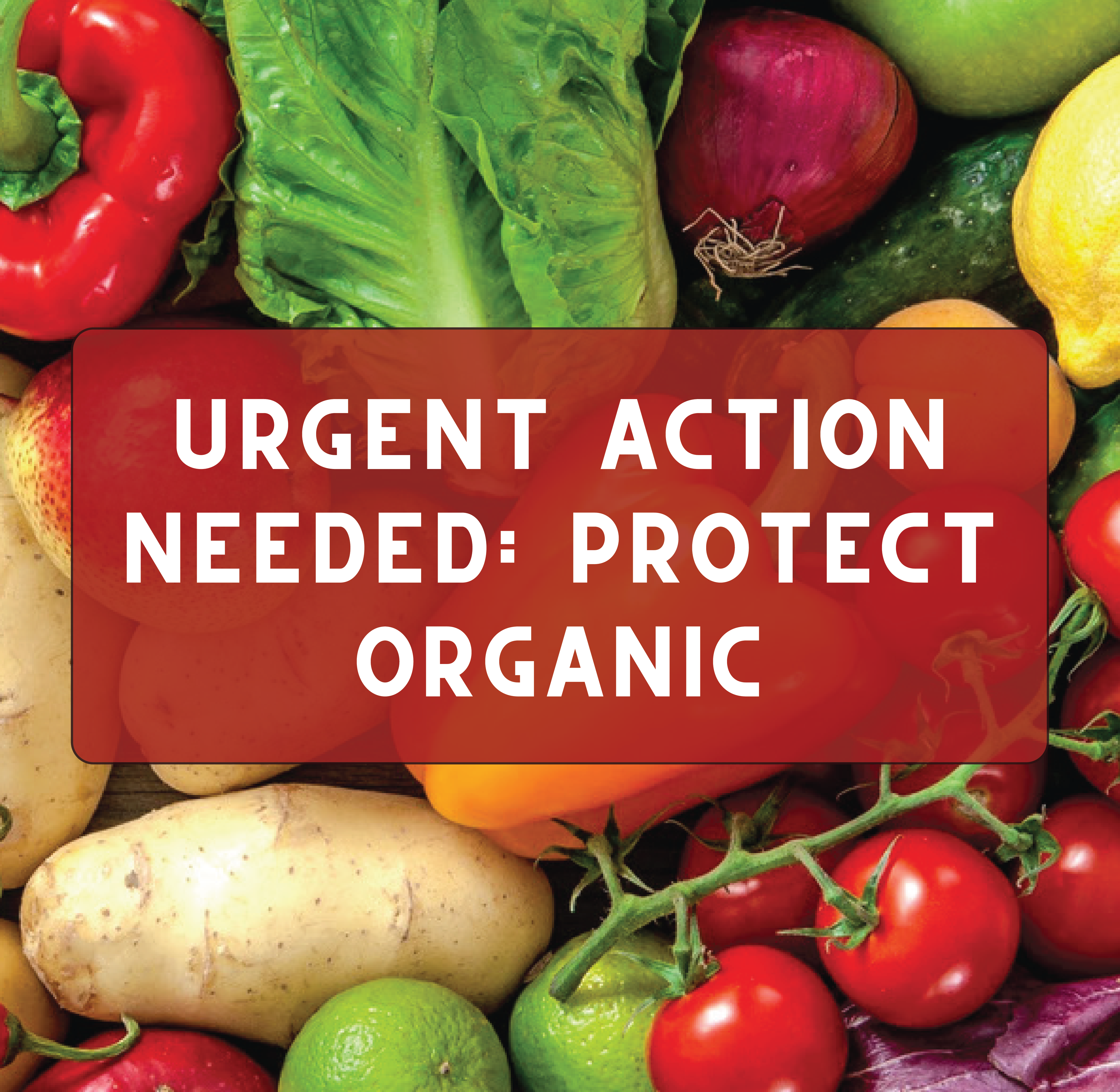 Protect Organic Farmers & the USDA National Organic Program! - Good ...